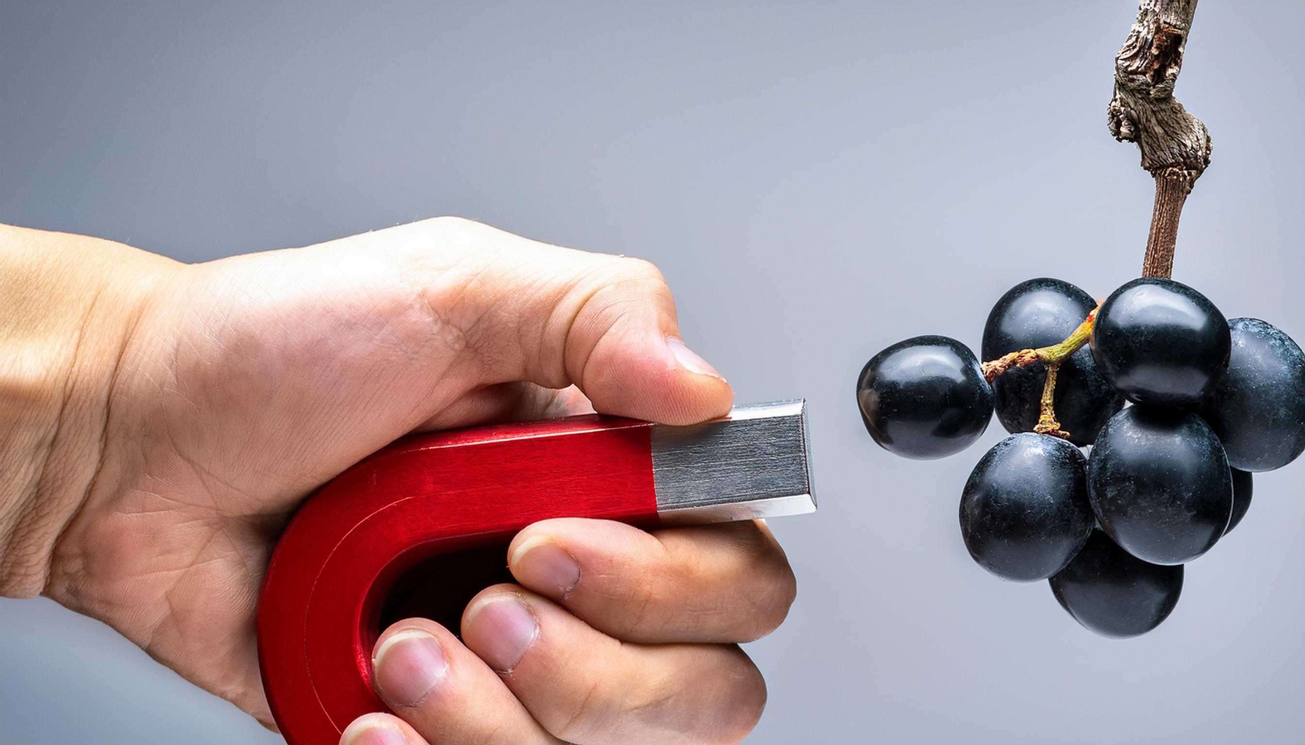 Exploring Magnetism: The Grape Pendulum Experiment - Synapse by ICTS